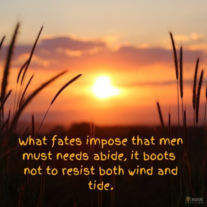 60 Inspirational Fate Quotes for Embracing Life's Journey